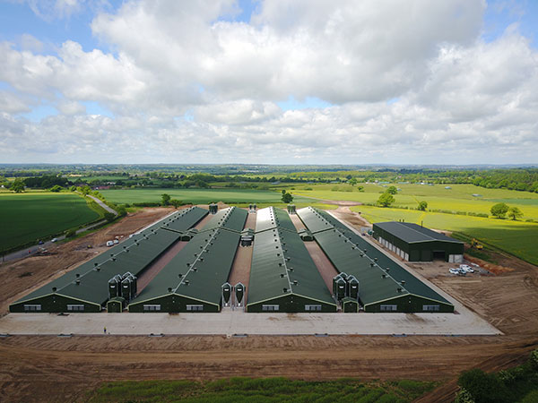 Collinson Silo Supply & Installation Ireland | Keelagher Contracts Ireland